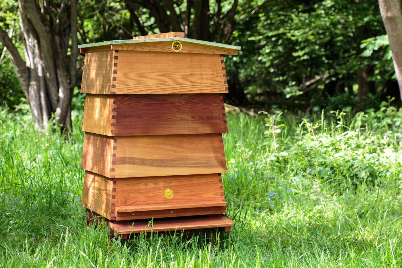 Education & Training – St Albans & District Beekeepers Association