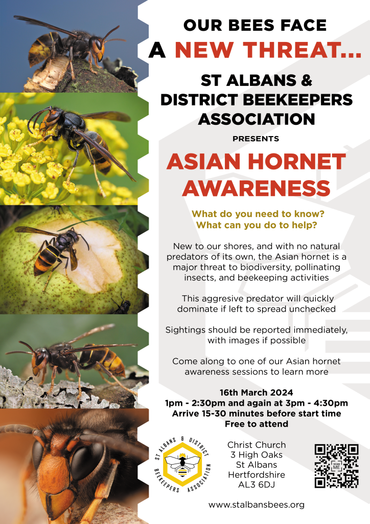 Gardening for Insects – St Albans & District Beekeepers Association